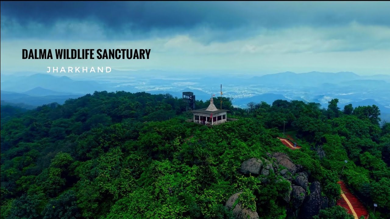 Unseen View of DALMA WILDLIFE SANCTUARY || Jharkhand || - YouTube