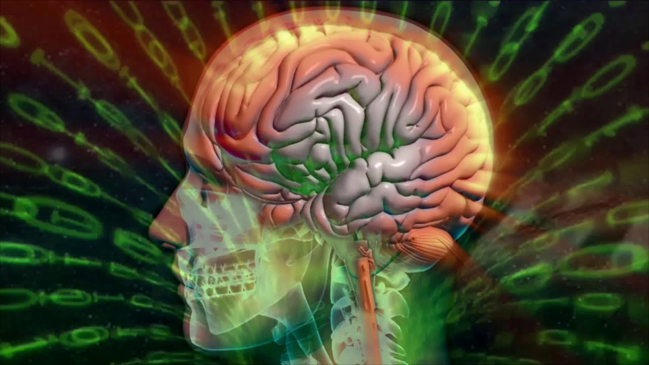 daboing - all roads lead to the club of rome ... planet niku - YouTube