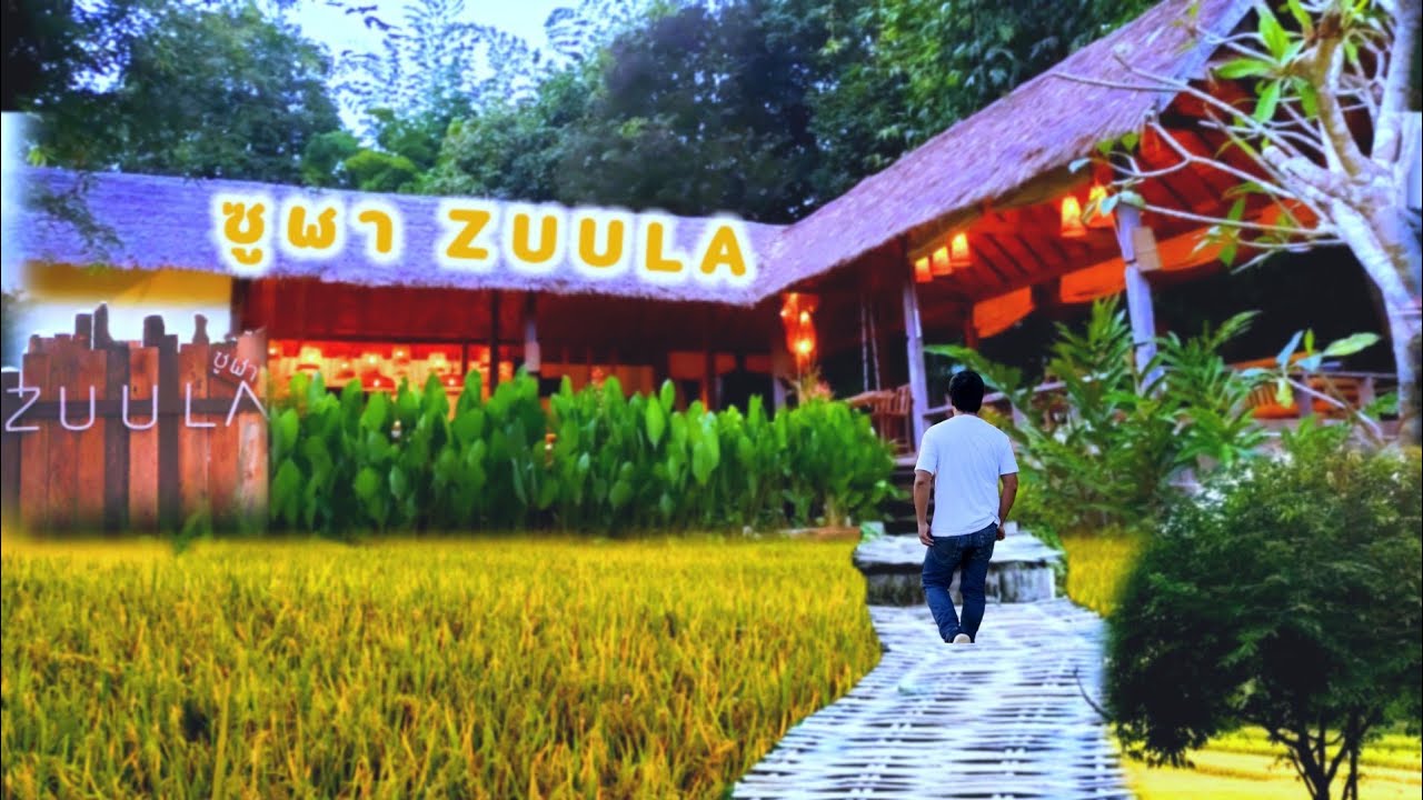 ซูฬา ZUULA ร้านกาแฟวิวสวย ฮ้อมล้อมไปด้วยธรรมชาติ ทุ่งพร้าว แม่สรวย ...