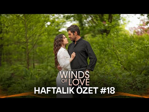 Winds of Love Weekly Summary #18 | Rüzgarlı Tepe Haftalık Kolaj #18