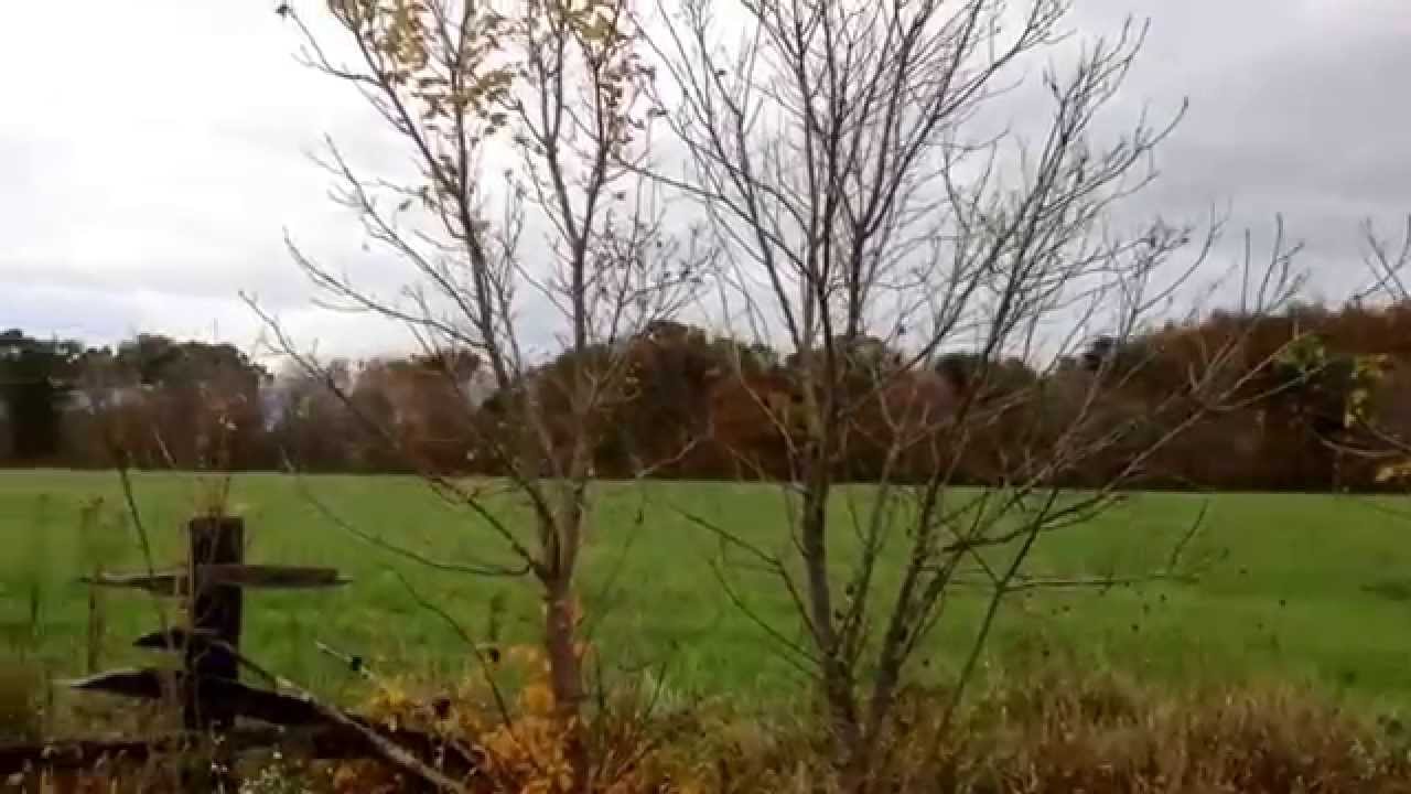 Doing some smoke pole hunting in my world - YouTube