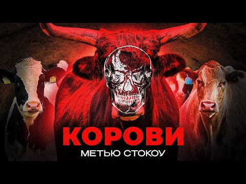 НАЙОГИДНІША КНИГА? Корови - Метью Стокоу - YouTube
