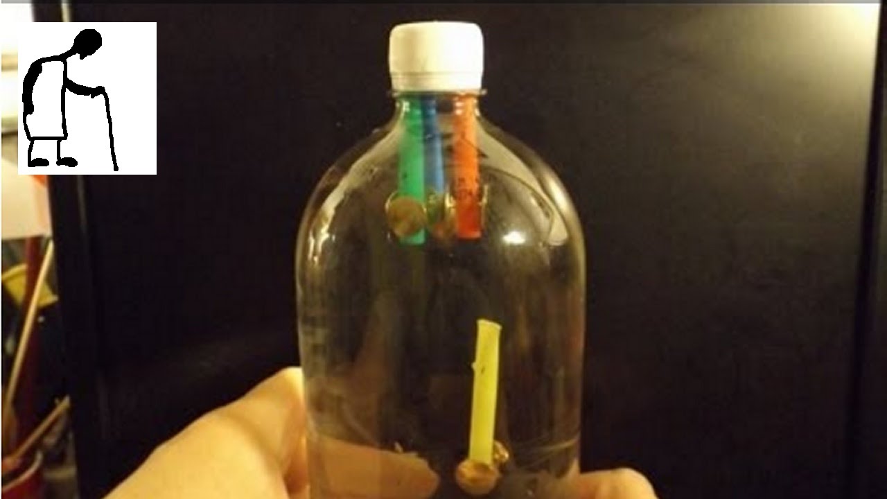 Let's play with Cartesian divers - YouTube