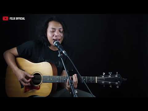 Make You Feel My Love - Adele - Felix Cover