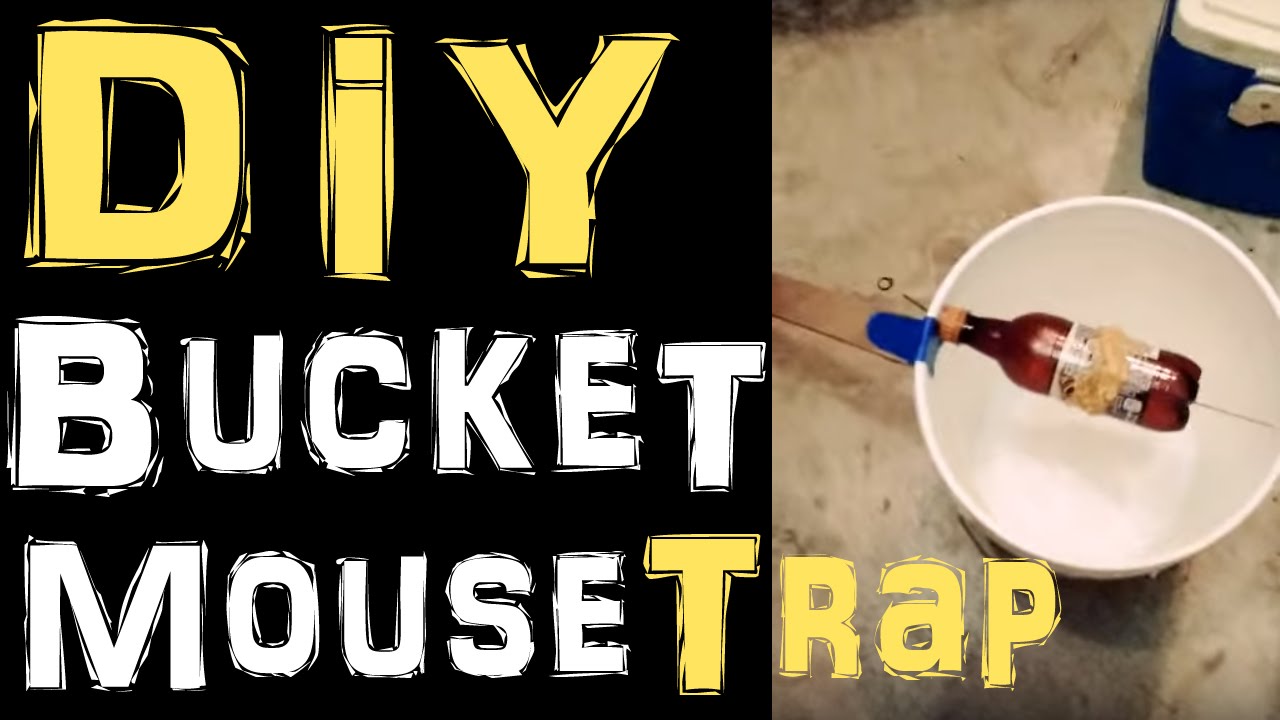 The DIY bucket Mouse Trap, EXPOSED! - YouTube