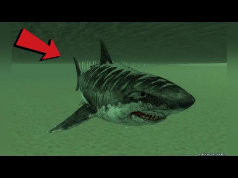 Gta San Andreas Shark Attack Mod! Shark Location!! #gta - YouTube