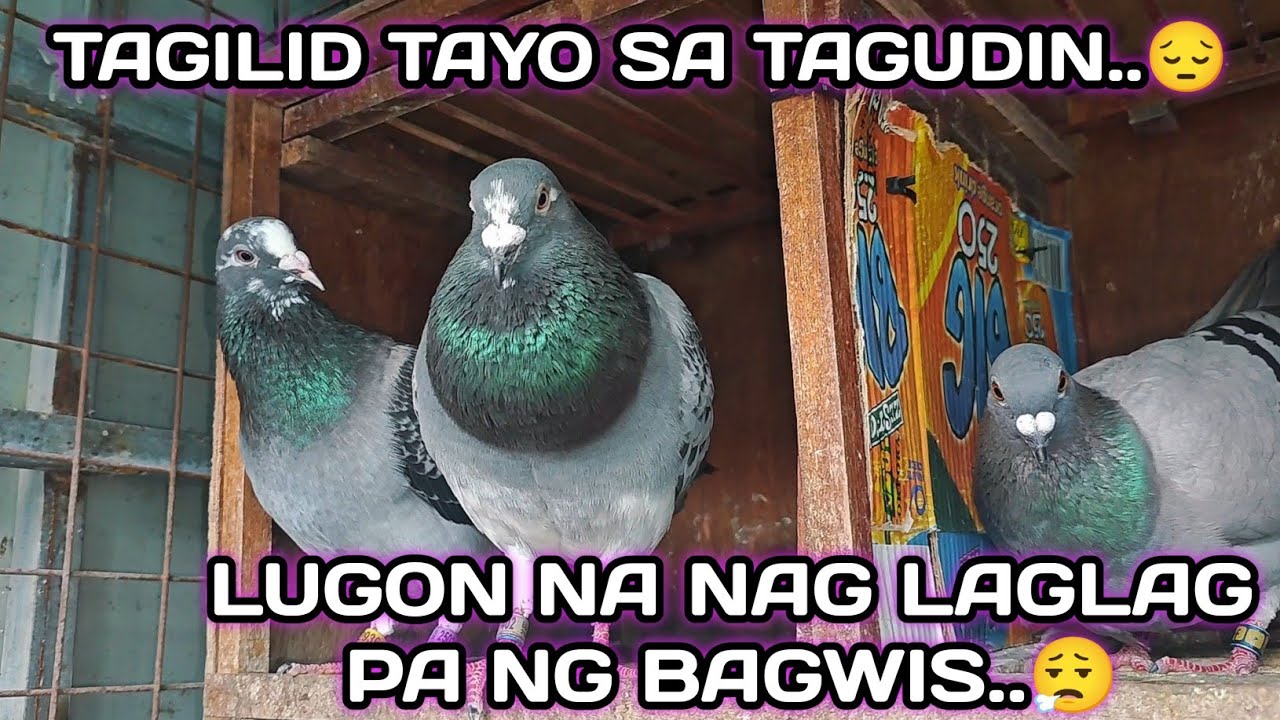 LUGON NA.. NAG LAGLAG PA NG BAGWIS.. TAGILID TAYO SA TAGUDIN..😔 - YouTube