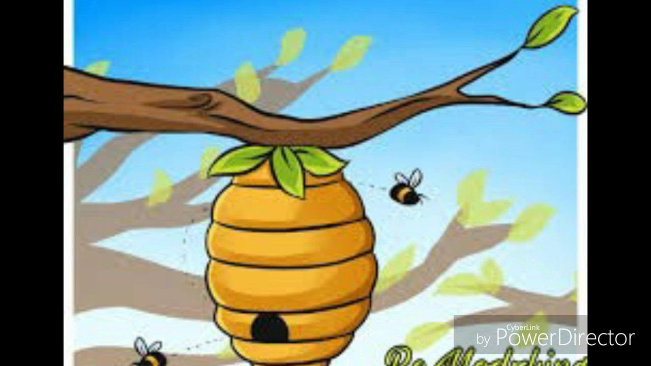 The bee hive hip hop remix by ReModzking. - YouTube