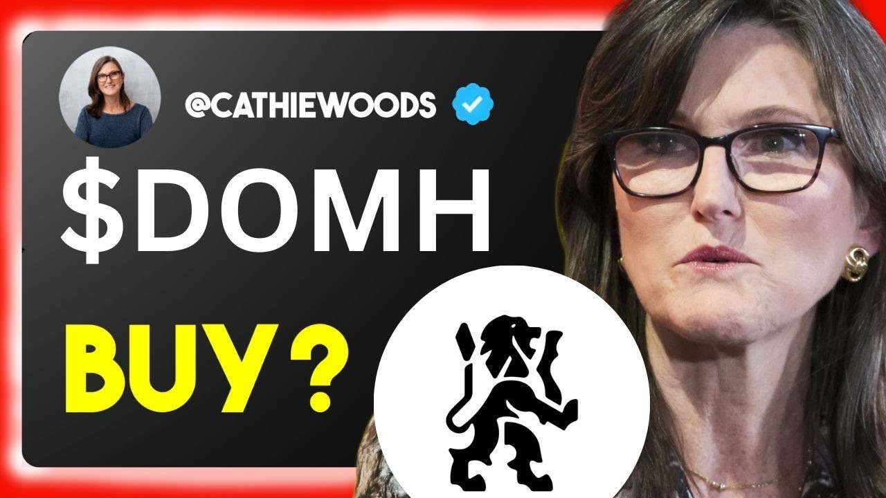 DOMH Stock FRIDAY CRAZY! (what's next?) DOMH stock analysis stock ...