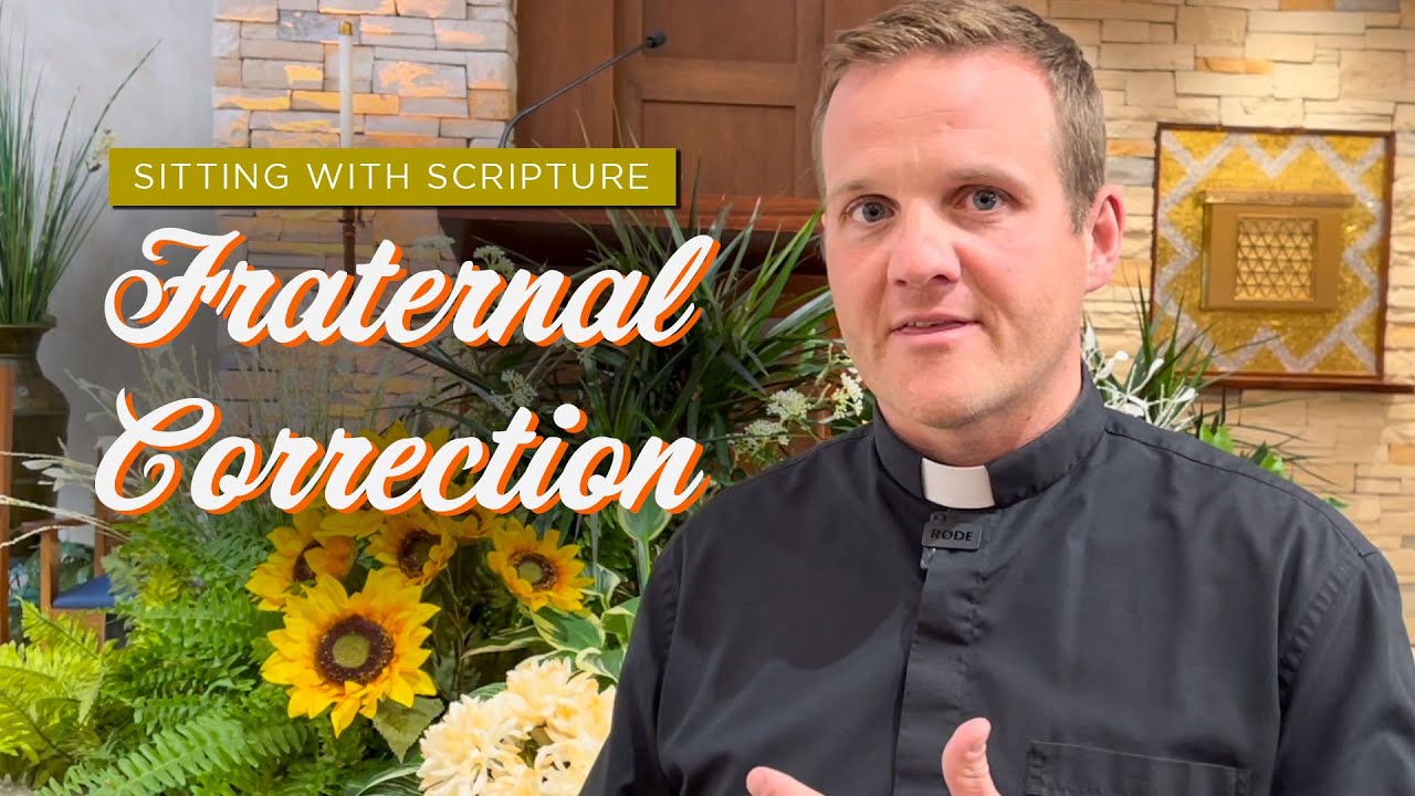Sitting with Scripture with Fr. Andrew ~ FRATERNAL CORRECTION - YouTube