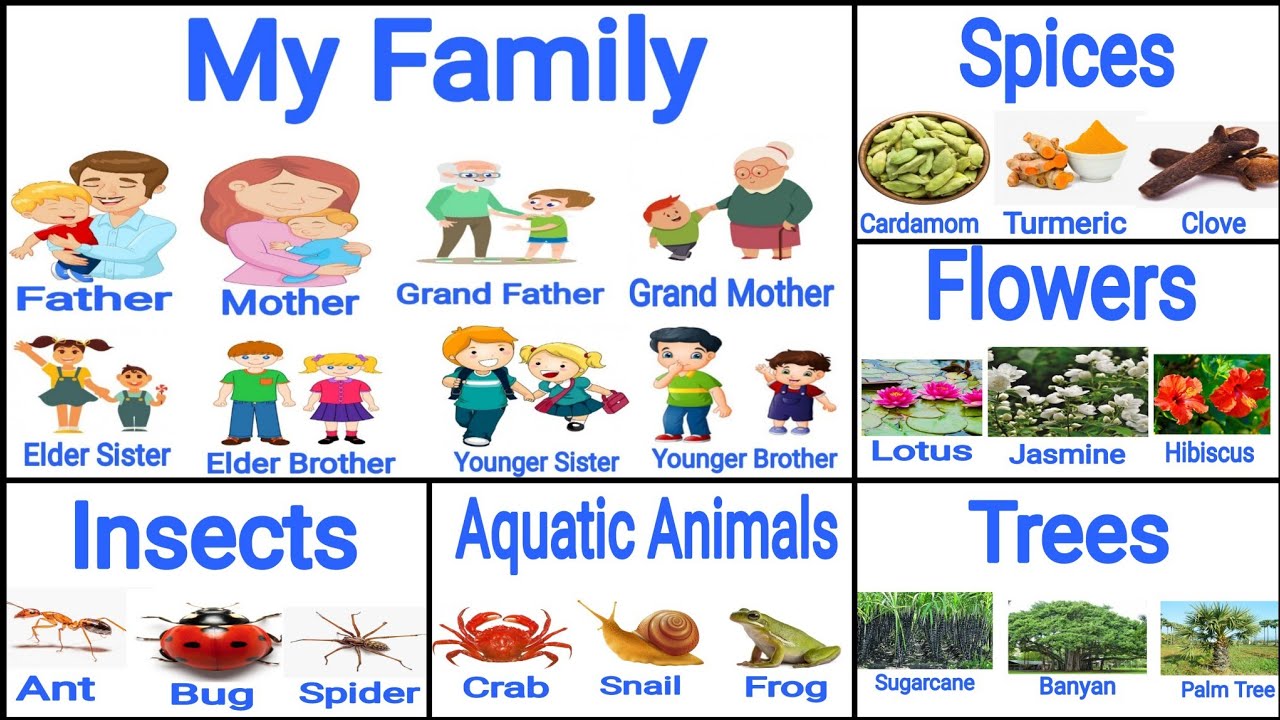 Learn English for kids | My Family, Animals, Flowers, Trees, Spices ...