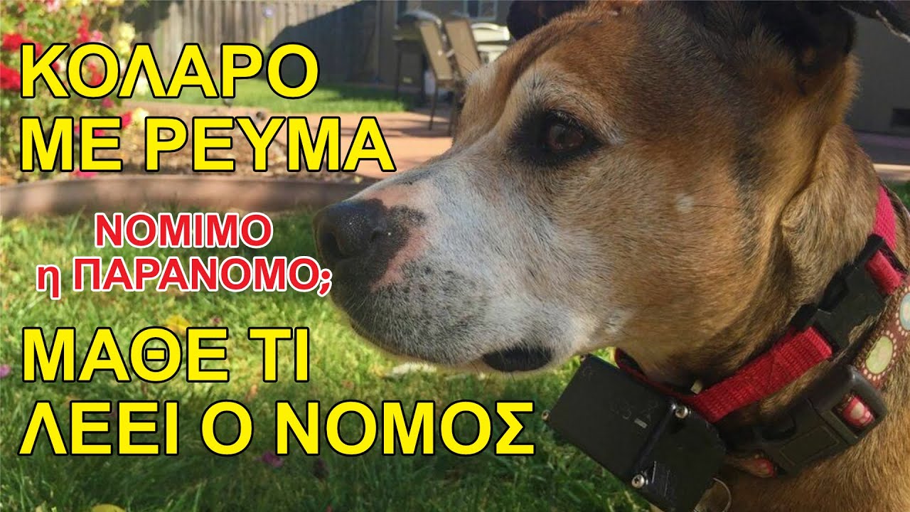 ΚΟΛΑΡΟ ΜΕ ΡΕΥΜΑ - ΝΟΜΙΜΟ Η ΠΑΡΑΝΟΜΟ; - ΜΑΘΕ ΤΙ ΛΕΕΙ Ο ΝΟΜΟΣ. - YouTube
