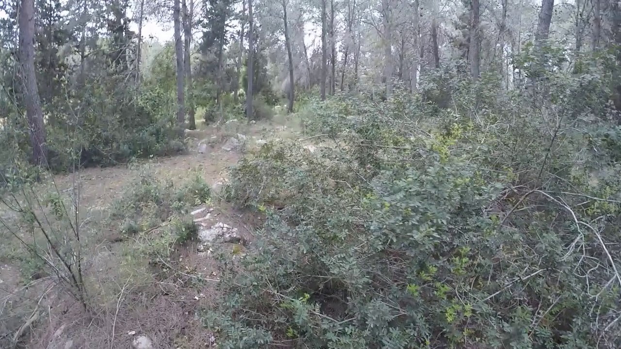 Airsoft game israel - Military action - YouTube