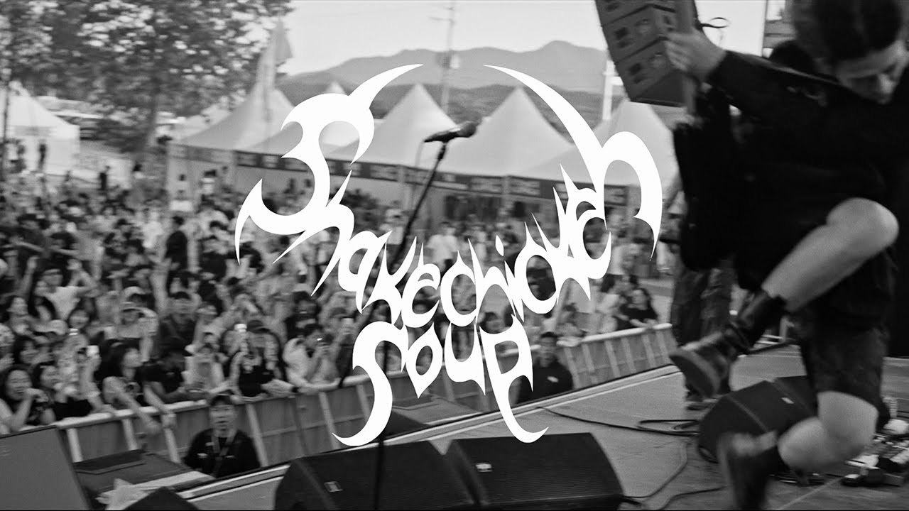 Snake Chicken Soup [보양] Full Live at DMZ Peace Train 2024(Official ...