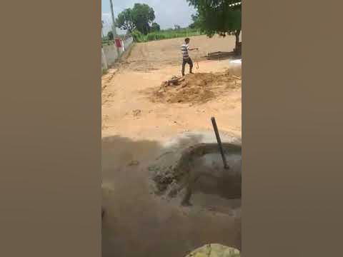 HOW TO CATCH COBRA SNAKE - YouTube