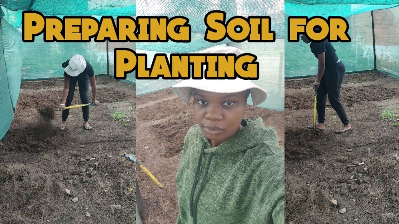 How to SOIL PREP with ONE TOOL: Ploughing Virgin Land - YouTube