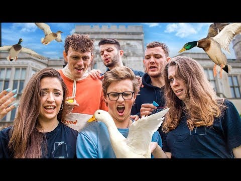 Für mein 100.000-km-Special habe ich Enten gehütet | Unkonventionell