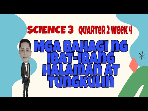 SCIENCE 3 MELC-BASED ( Quarter 2 Week 4) MGA BAHAGI NG IBAT-IBANG ...