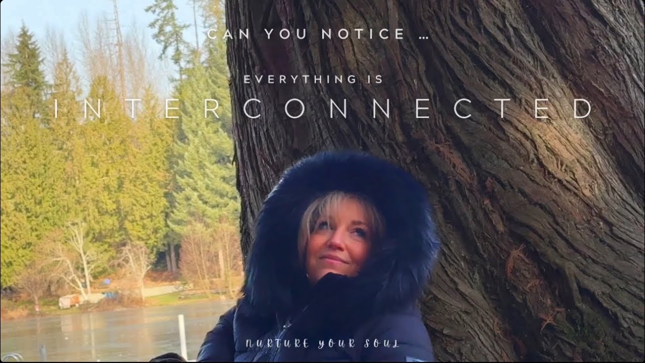 Everything is INTERCONNECTED - YouTube