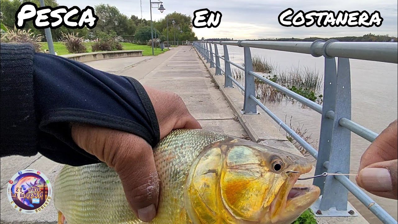 PESCA en Costanera Dorados,Armado y Moncholo -EL ARTE x la PESCA •con ...