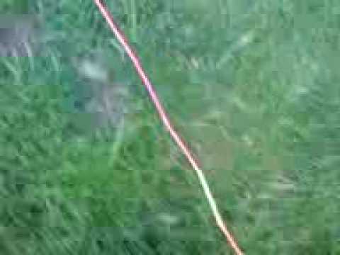 Sherbert Straw Line - YouTube