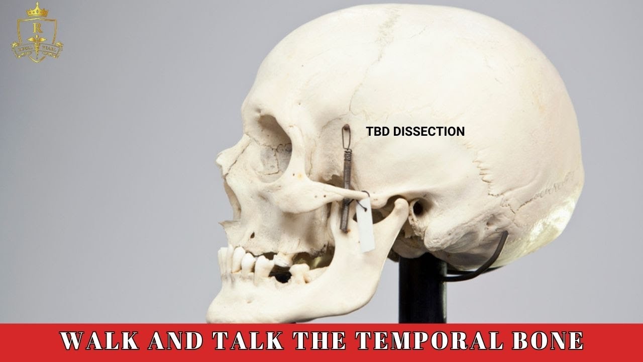 Temporal Bone Dissection at Royal Pearl Hospital - YouTube