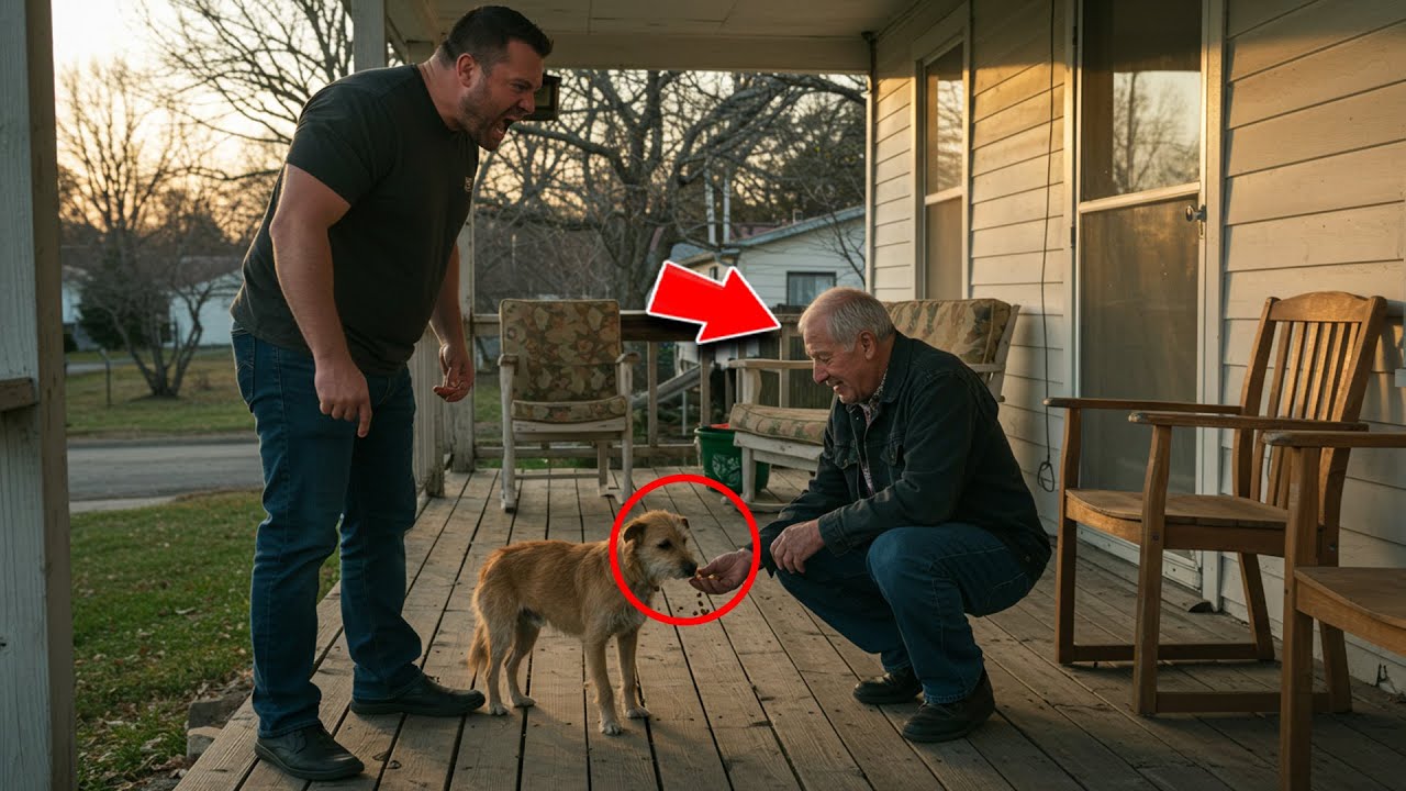 Grumpy Neighbor Scolds Old Man for Feeding Stray Dog, But He NEVER ...