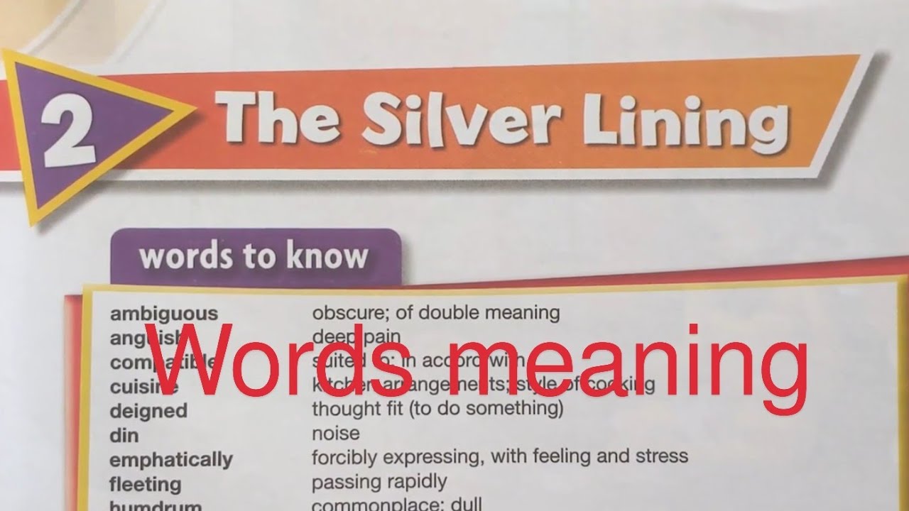New Oxford Modern English Book 8| Chapter 2 The Silver Lining| Words ...