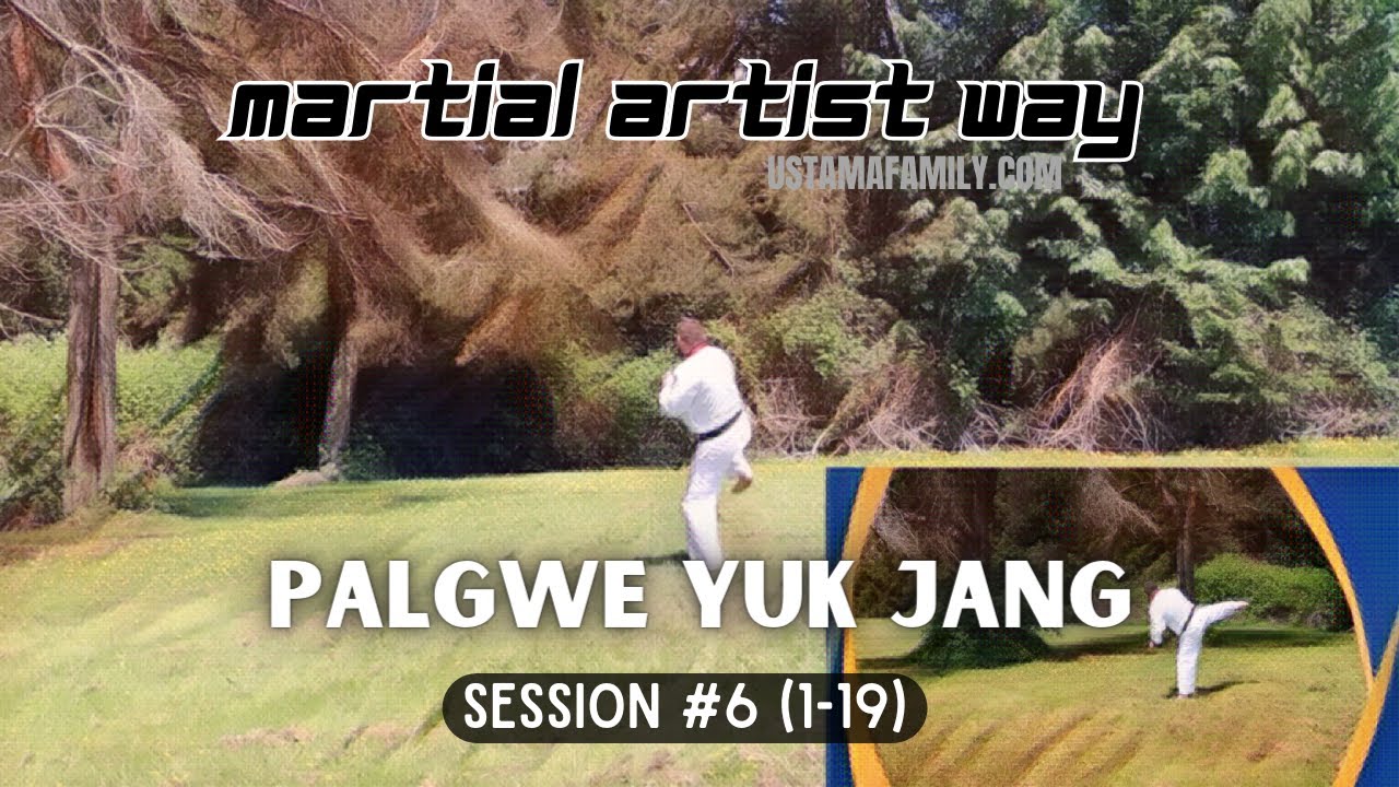 Poomsae Tutorial Black Belt: Session 6 - Palgwe Yuk Jang (1-19) 3 ...