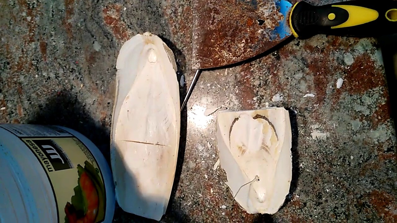 Huesos de Jibia para los canarios - YouTube