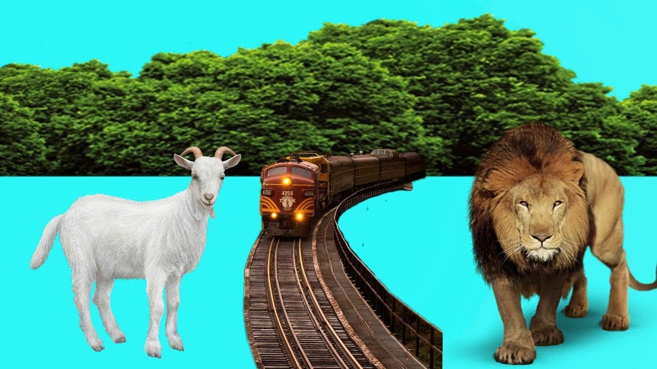 the train is coming, animals get out of the way, cow, monster, dinosaur ...