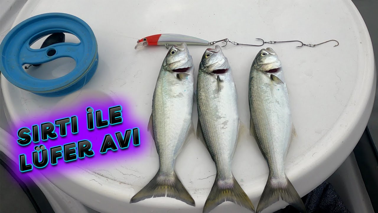 SIRTI İLE LÜFER AVI - LÜFER AVI NASIL YAPILIR ? KARADENİZ LÜFER AVI ...