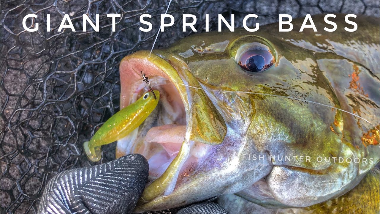 TOP 5 BASS FISHING SETUPS/BAITS YOU NEED THIS SPRING!! (BEGINNER TO ...