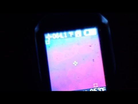 Walker Bee Ranch is live! - YouTube
