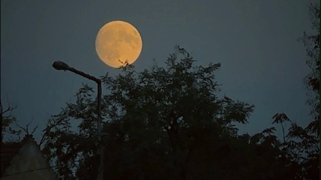 VvLz- GanSar - YouTube