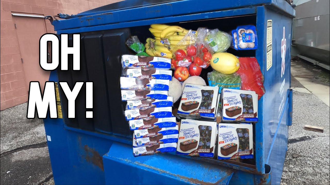 Dumpster Diving- Brownies, Donuts and Veggies + Scrap and The Critter ...