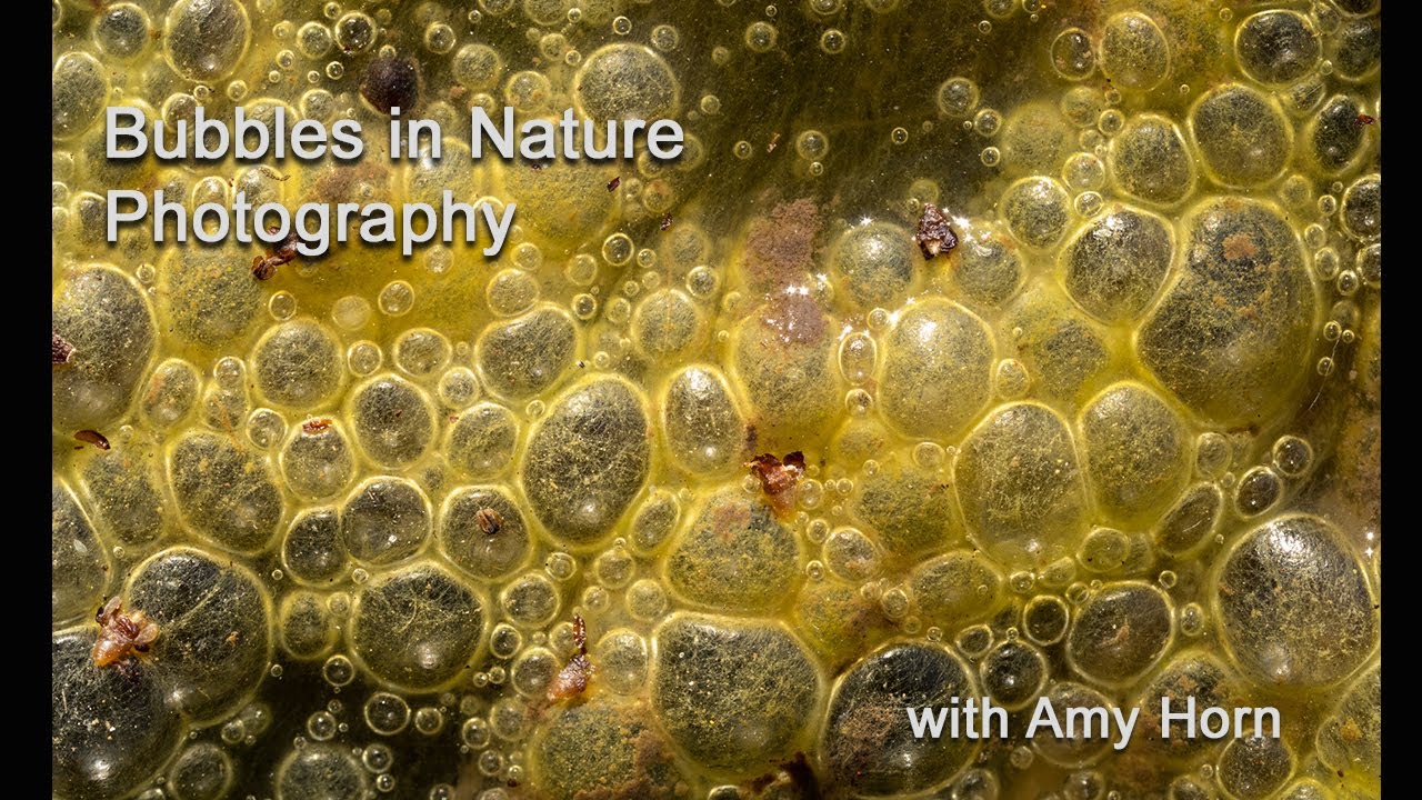 Bubbles in Nature photography - YouTube