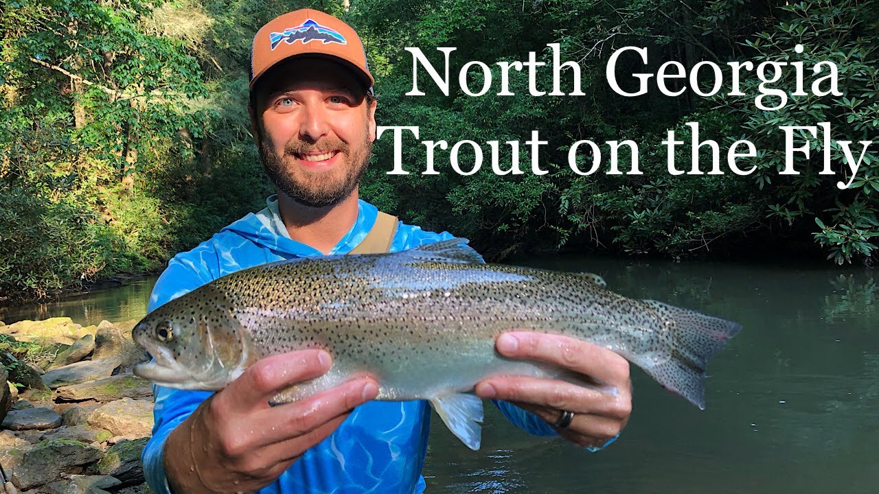 Fly Fishing Soque River at Harrison Humphery blog