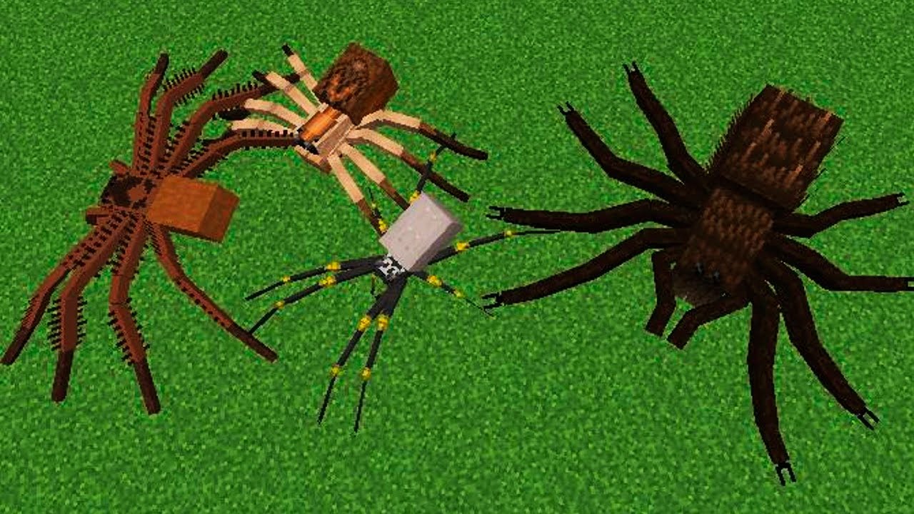 Spider's World MOD in Minecraft - New Spider Mobs - YouTube