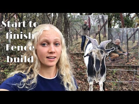 Building a New Pen for the Buck! || Simple Sturdy Goat Pen || Fence Re ...