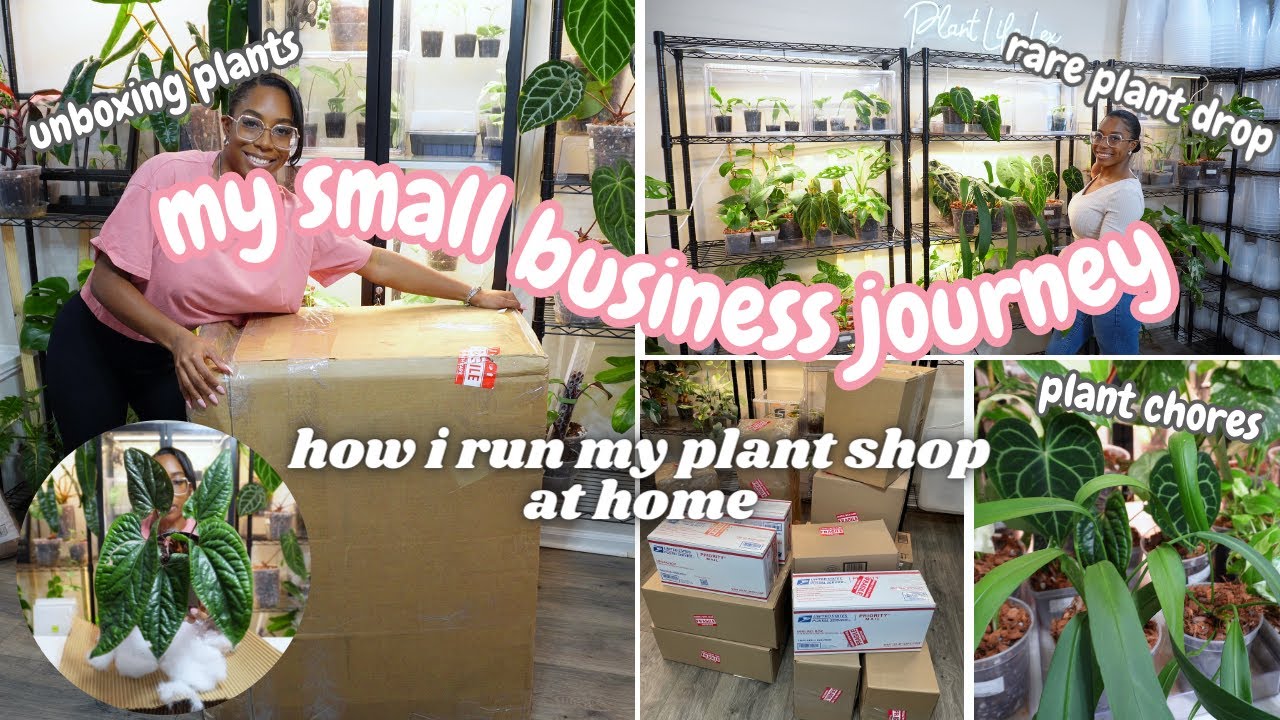 Small Business Journey: Unboxing Huge Rare Plant Mail,Launch Prep ...