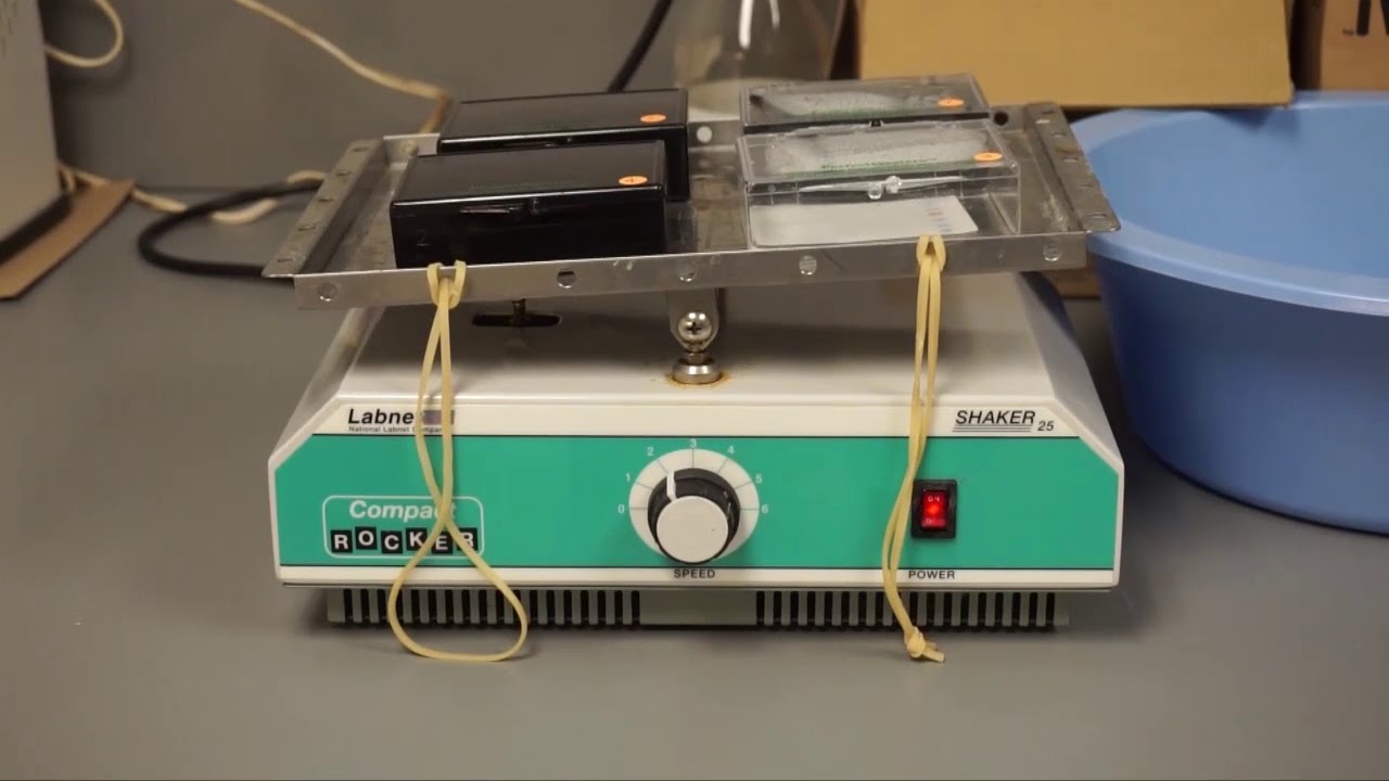 OKC’s Hough Ear Institute discovers promising process to regrow hair ...