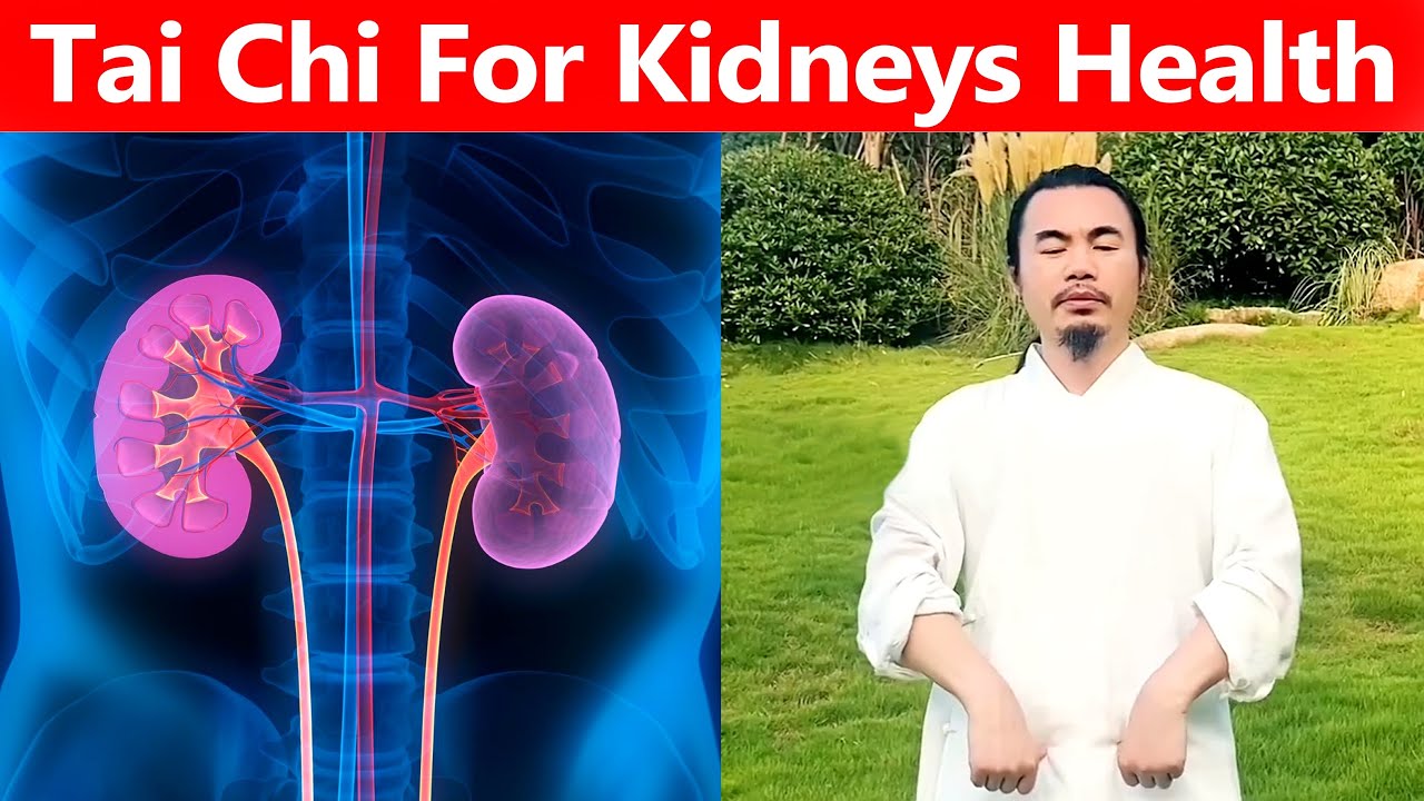 Tai Chi To Improve kidney Health and Prevent Diseases | Taichi Zidong ...
