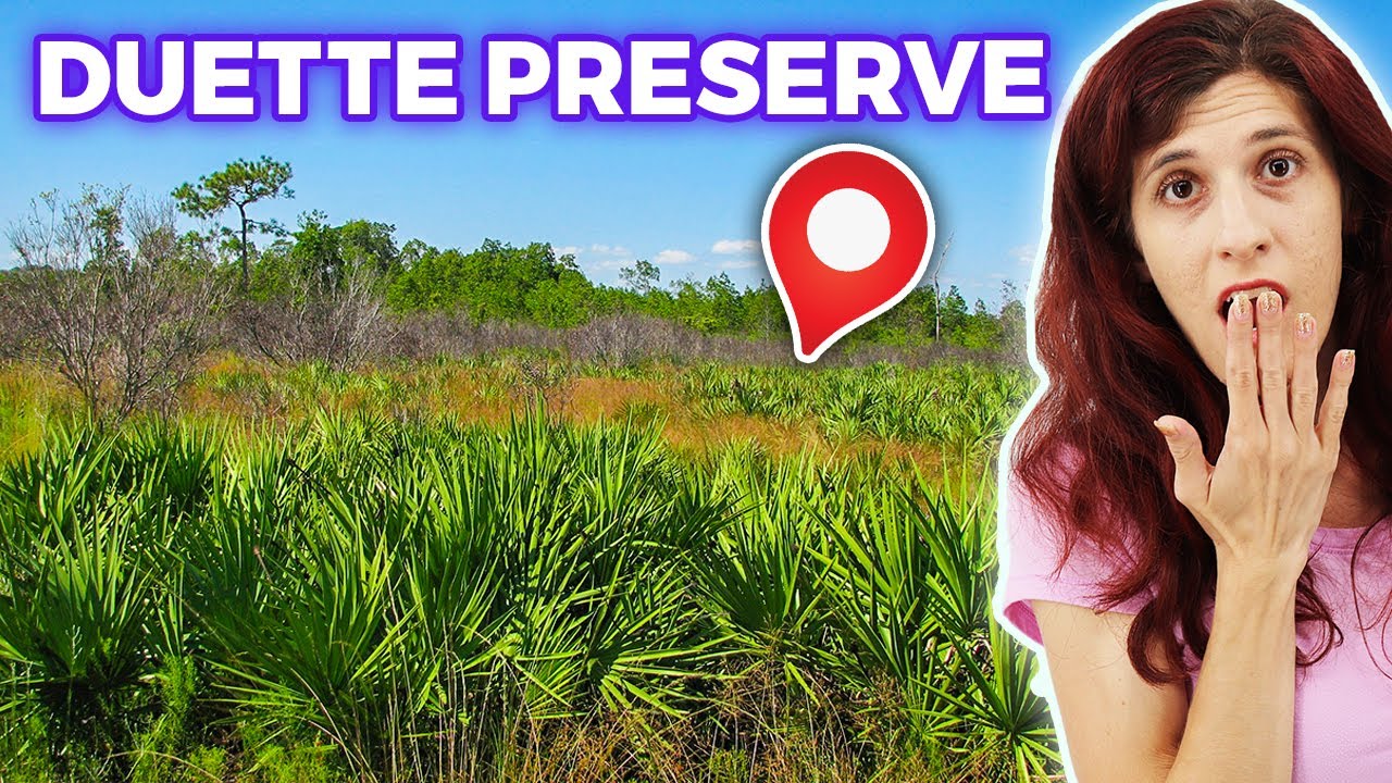 Duette Preserve | Manatee County Parks - YouTube
