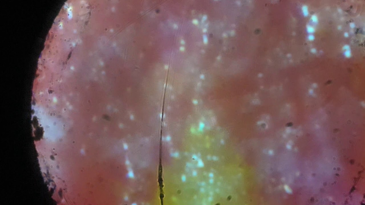 optical microscope 10,000 times or 100,000 times and in the near future ...