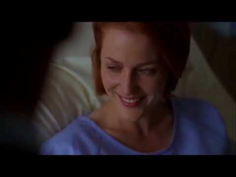 The X Files Scullys Pregnancy Youtube 5525