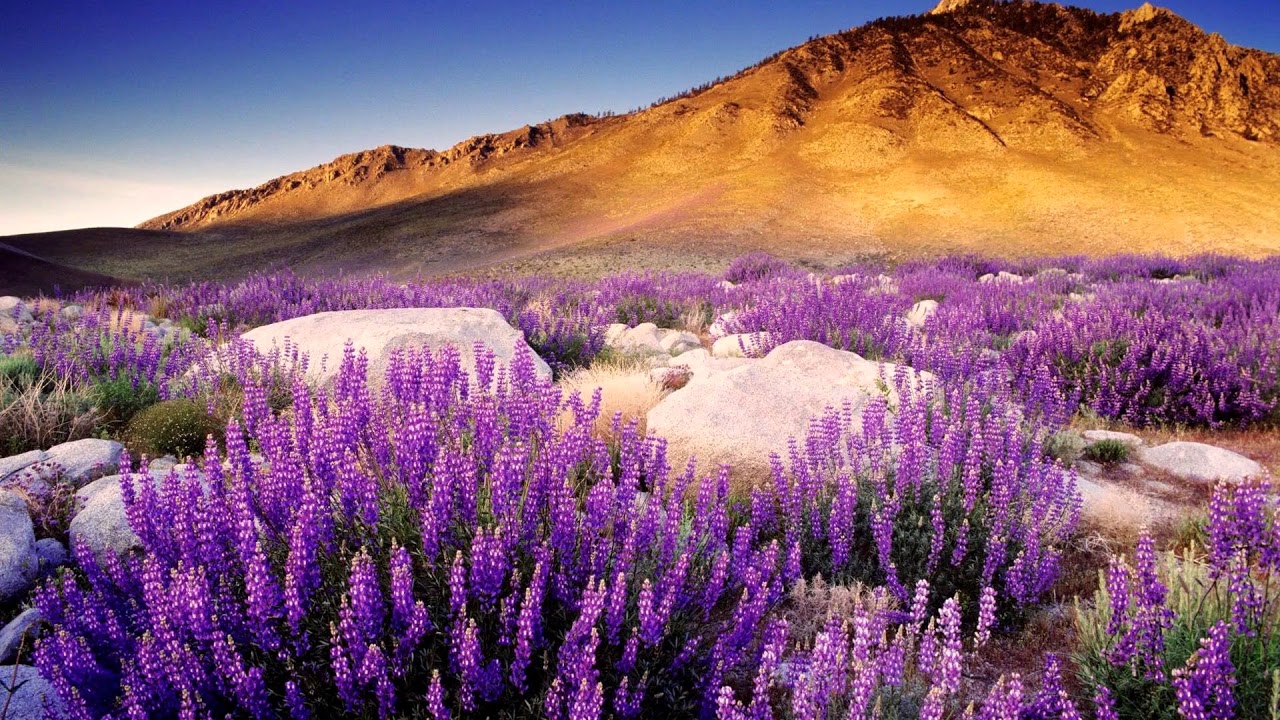 Colorful World (HD1080p) - YouTube