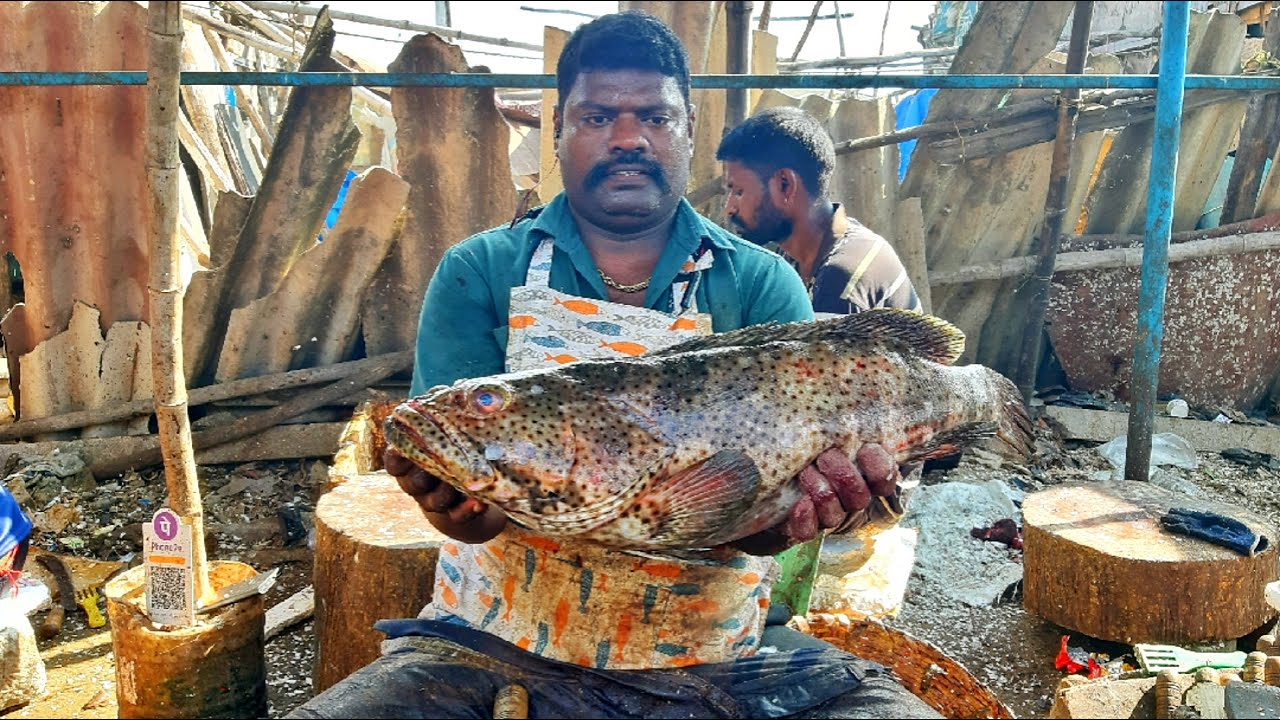 SPEED SELVAM | GROUPER FISH | KALAVAAN MEEN | CHOPPING CUTTING VIDEO ...