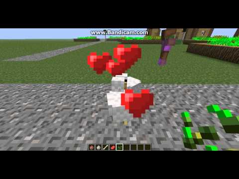 Tavuk ve Kurt Çiftleşmesi BLoodRappeR Minecraft