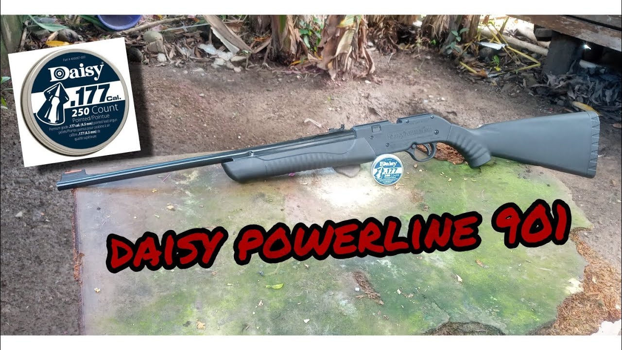 (daisy powerline model 901) rifle de multi bombeo comparación con el ...
